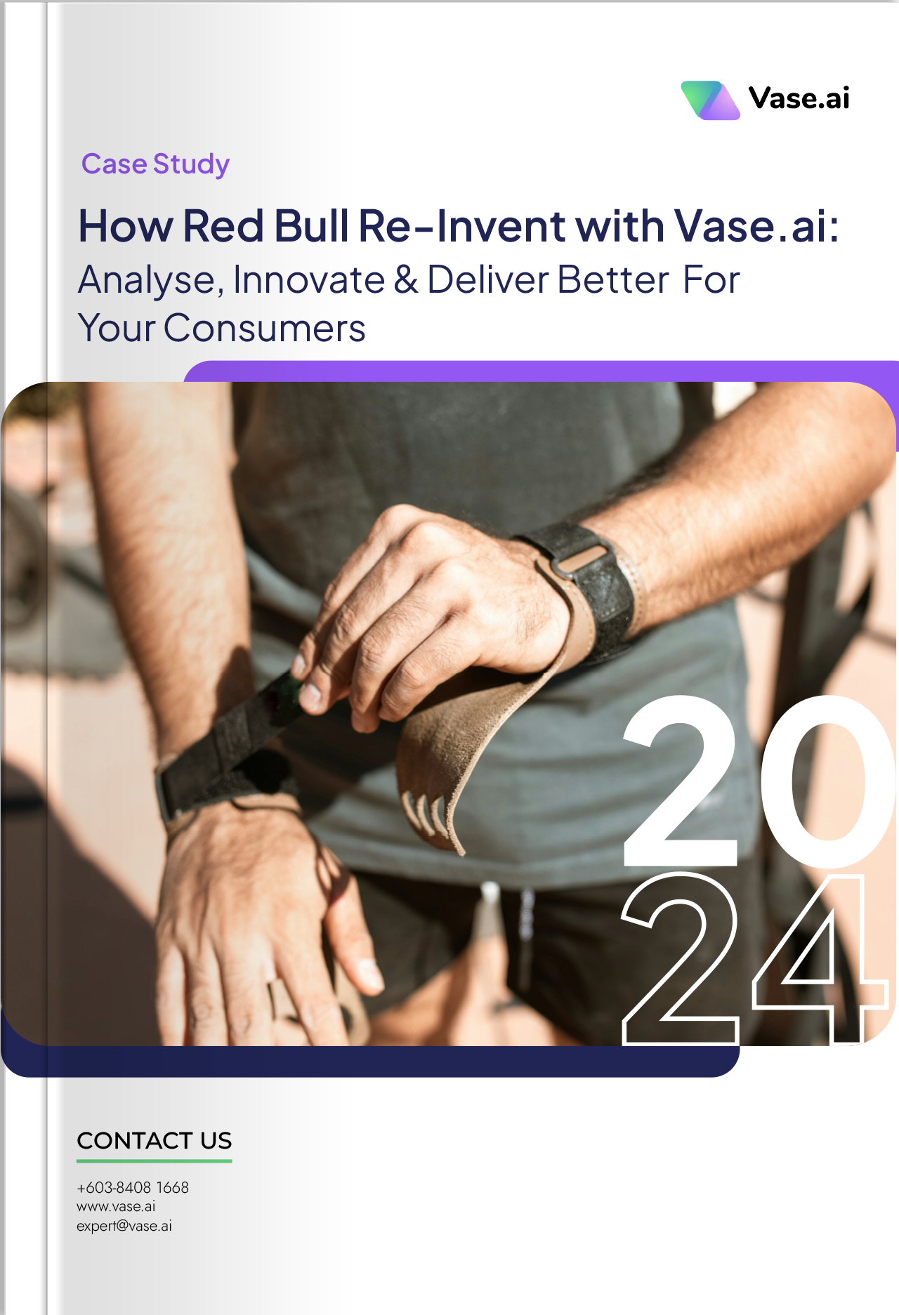Red Bull Case Study